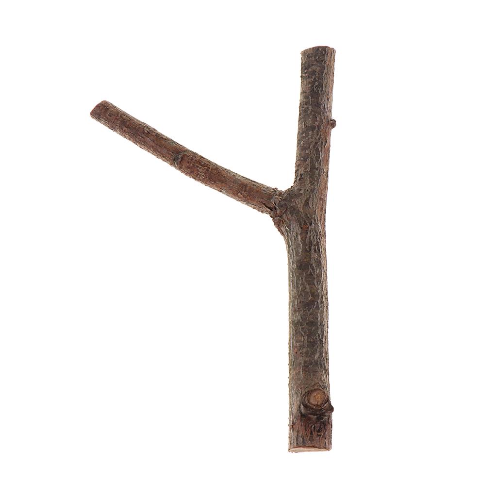 Buy Natural Driftwood Branch Pieces DIY Rustic Wood Craft Decorations ...