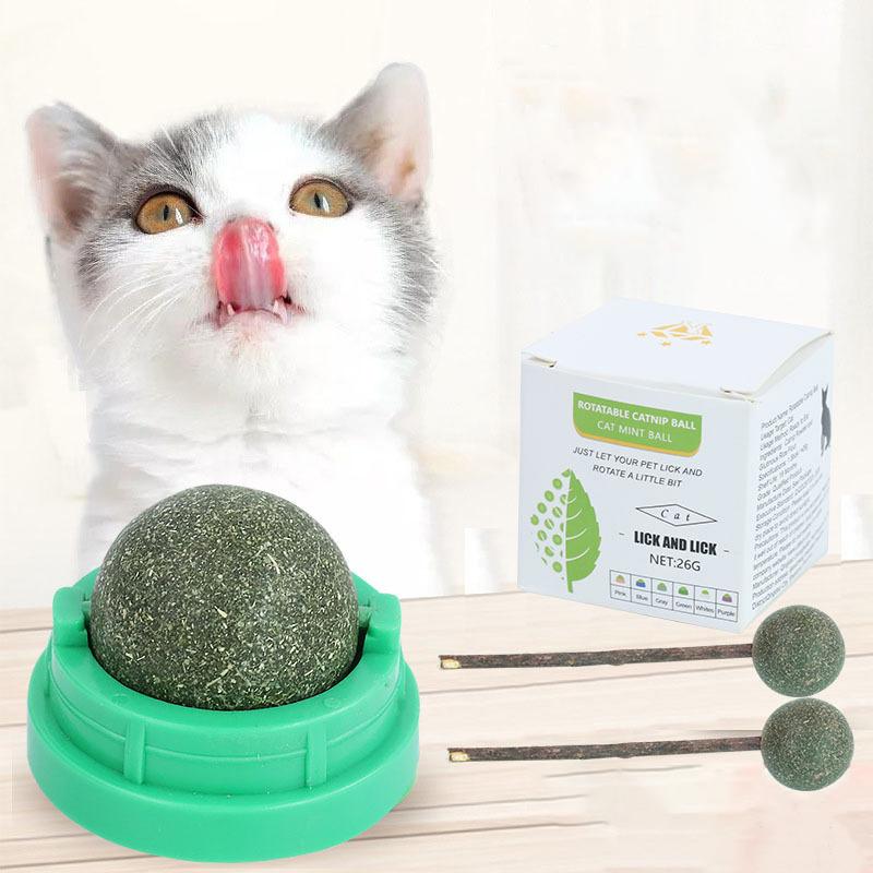 Buy Single Rotating Catnip Balls for Teeth Cleaning at affordable ...