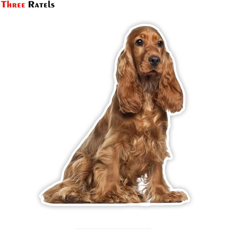 Buy LCS005# 14x17cm golden cocker spaniel puppy colorful car sticker ...