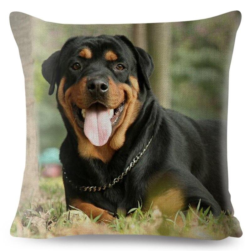 Buy Germany Loyalty Rottweiler Dog Pillow Cover 45x45cm Cushion Covers ...