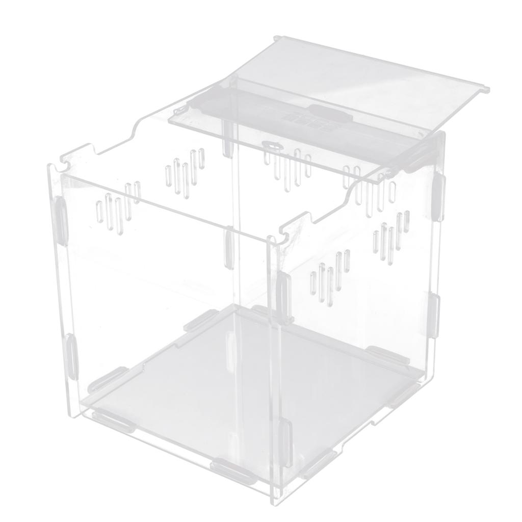 Buy Clear Acrylic Box Pet Reptile Transport Breeding Feeding Case ...