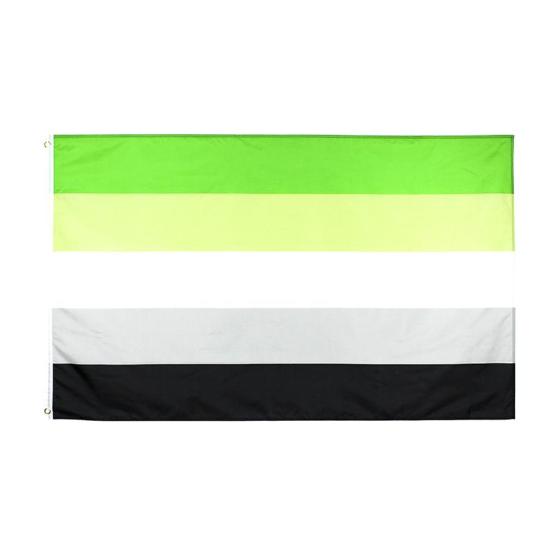 Buy 90X150Cm Lgbtqia Romantic Orientation Aromantic Pride Flag For ...