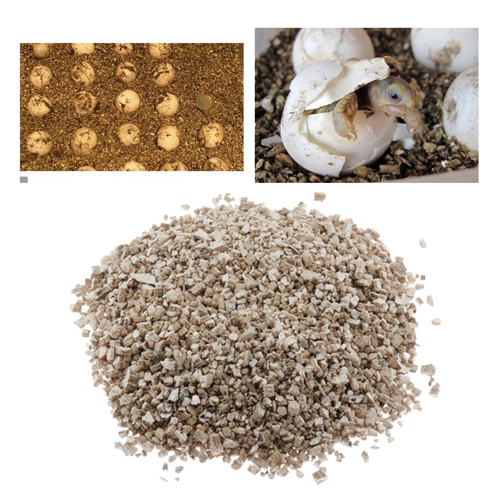 Buy 1 Pc Terrarium Bedding Substrate Reptile Egg Hatching Incubation ...