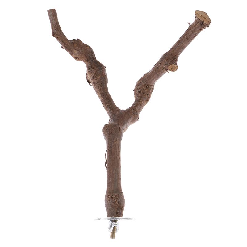 Buy Pet Parrot Bird Standing Stick Wild Grape Wood Pole Perches Bite ...