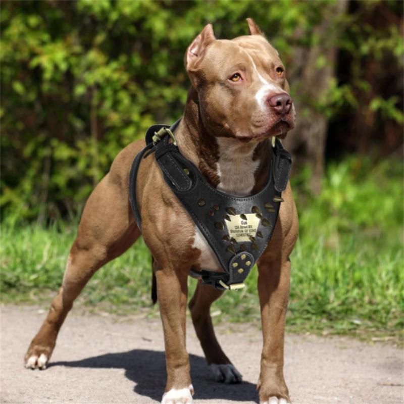 Satın alın Personalized Leather Dog Harness Custom Durable Dog Vest ...