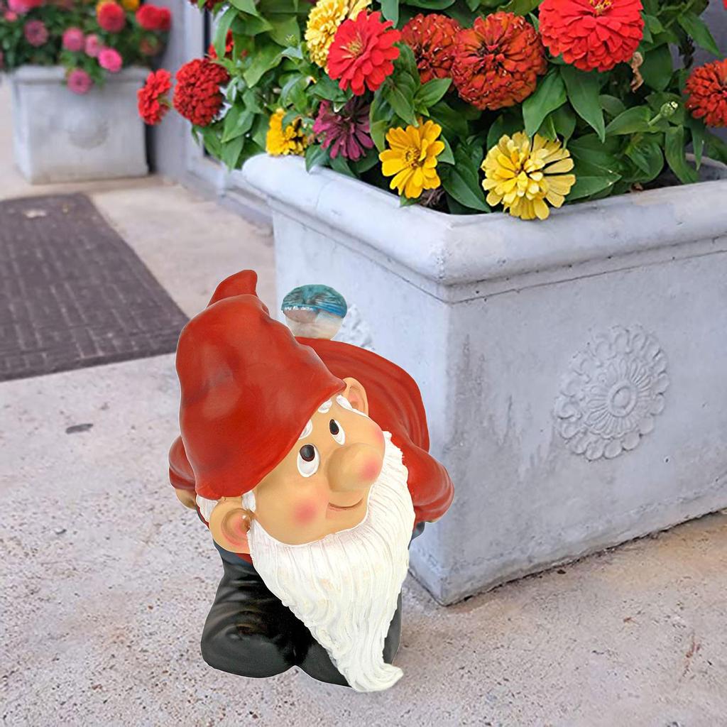 Buy Resin Naughty Garden Gnome Decoration Funny Gift at affordable ...