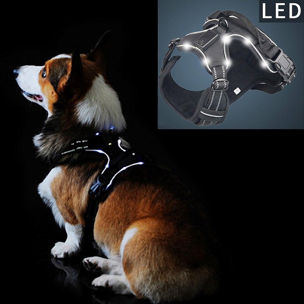 Buy Pet Products Led Taillup Nylon Harness Flashing Safety Light Dog ...