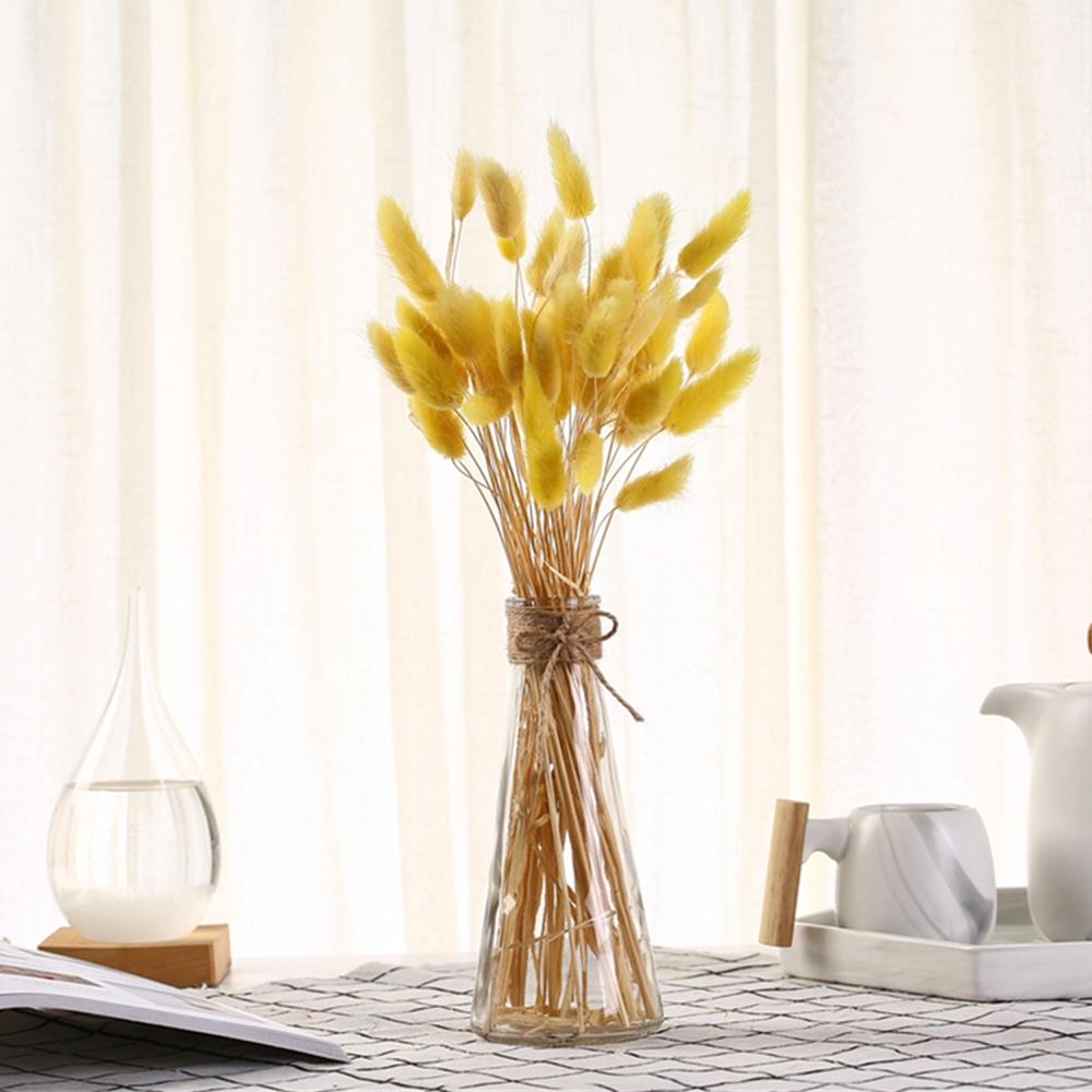 Buy 30/60/100Pcs 45Cm Natural Dried Flowers Reed Rabbit Tail Grass ...