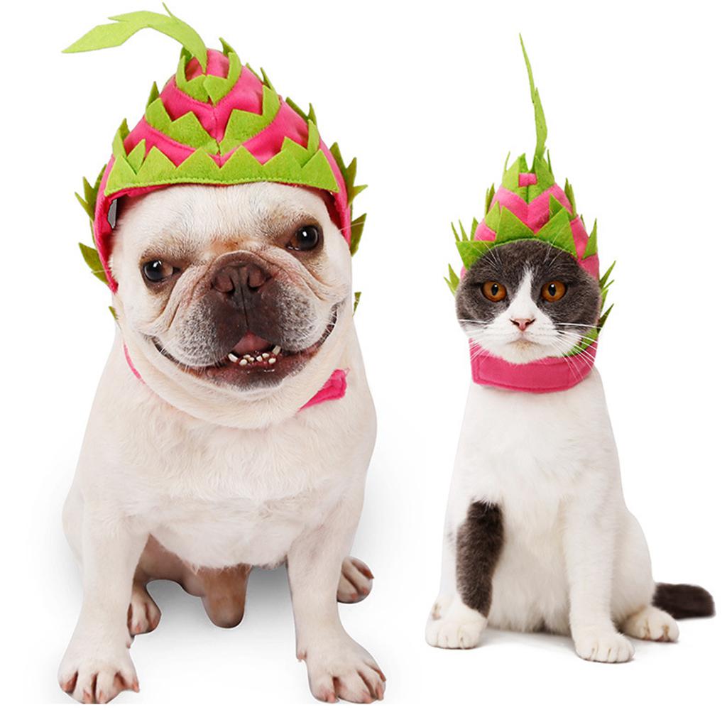 Buy Cute Dragon Fruit Shape Dog Hat Costume for Halloween Birthday ...
