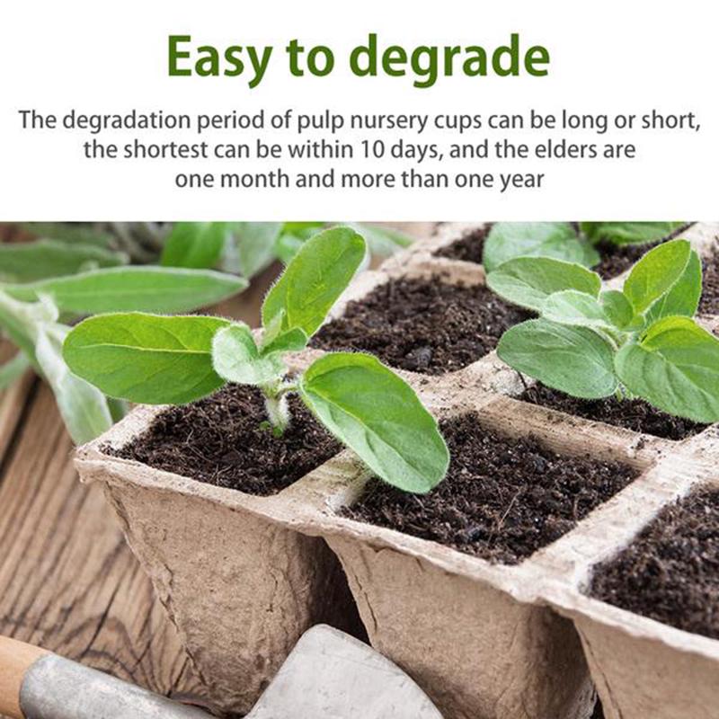 Buy 10/20PCS Paper Pulp 12Cells Nursery Cup Seedling Herb Seed Plant ...