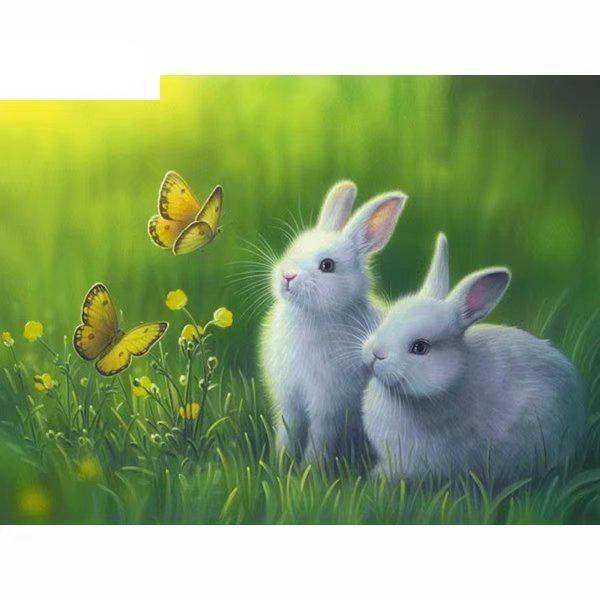 Buy DIY 5D Full Round Diamond Painting Rabbit & Butterfly Embroidery ...