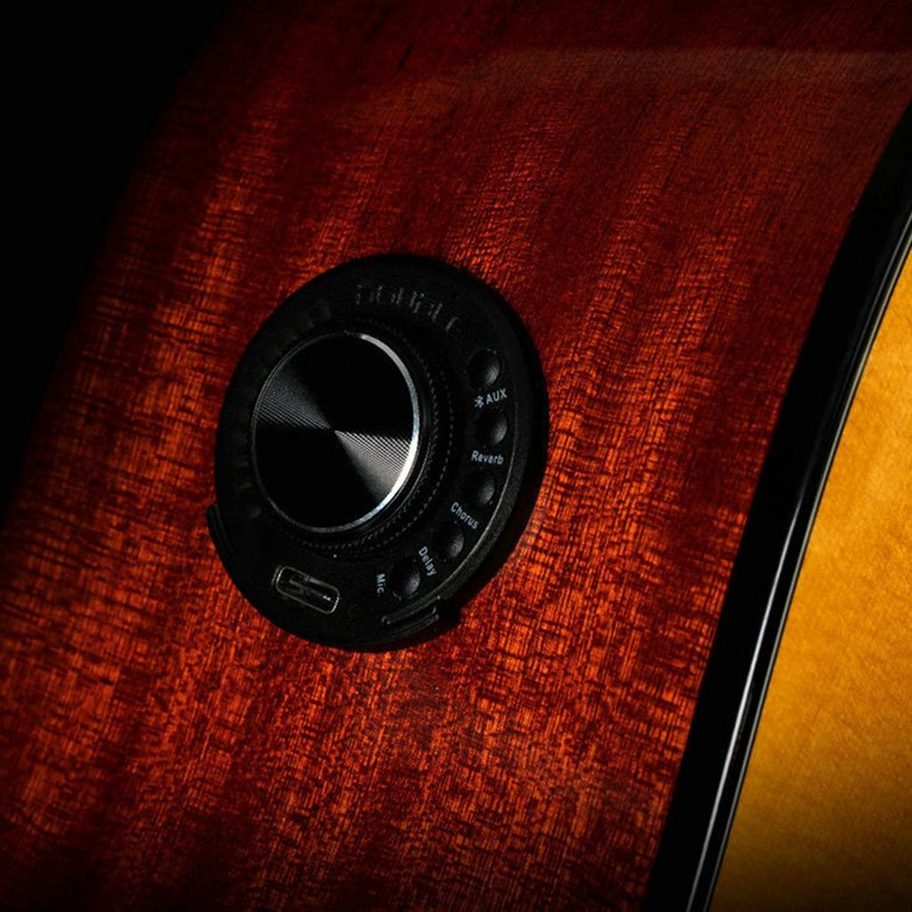 💰Kaufe DOUBLE OS1 Vibration Pickup Mini Resonance Technology ...