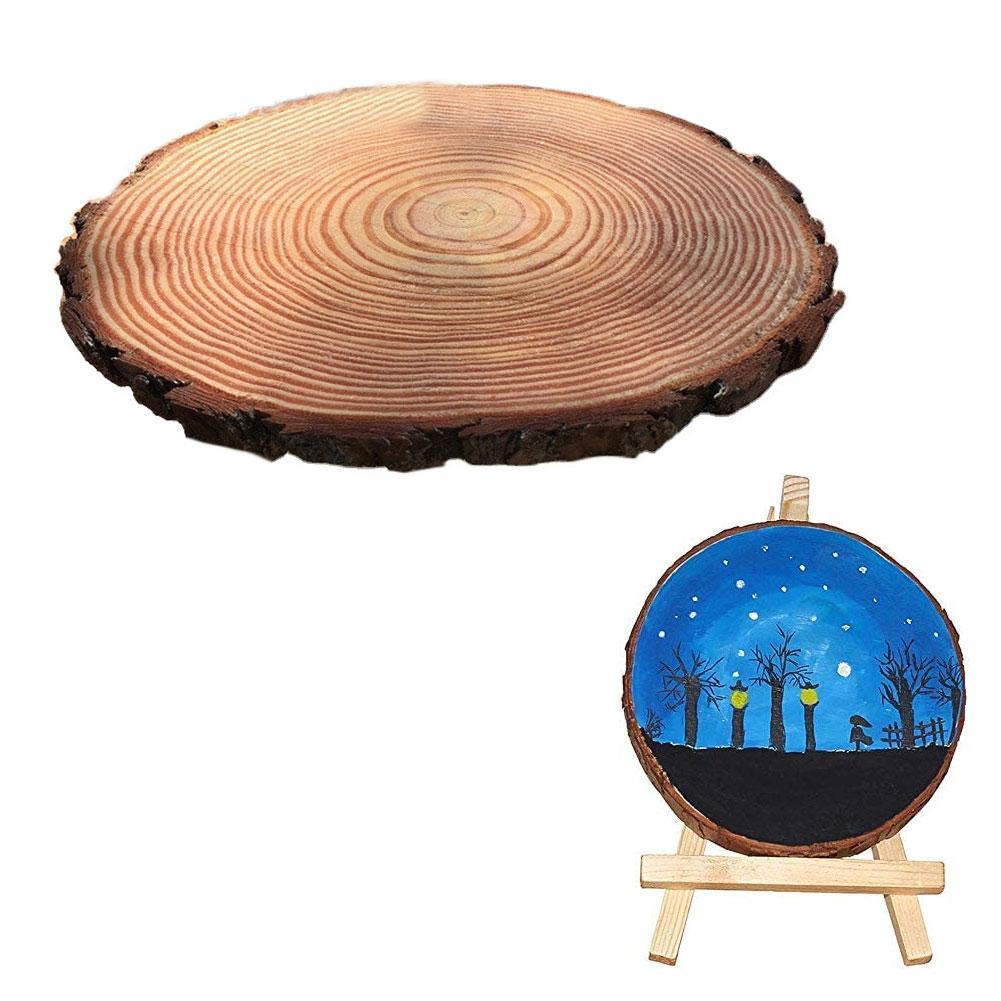 Buy 1 PC 20-22cm Unfinished Natural Wood Slices Craft Wood Pain Crafts ...