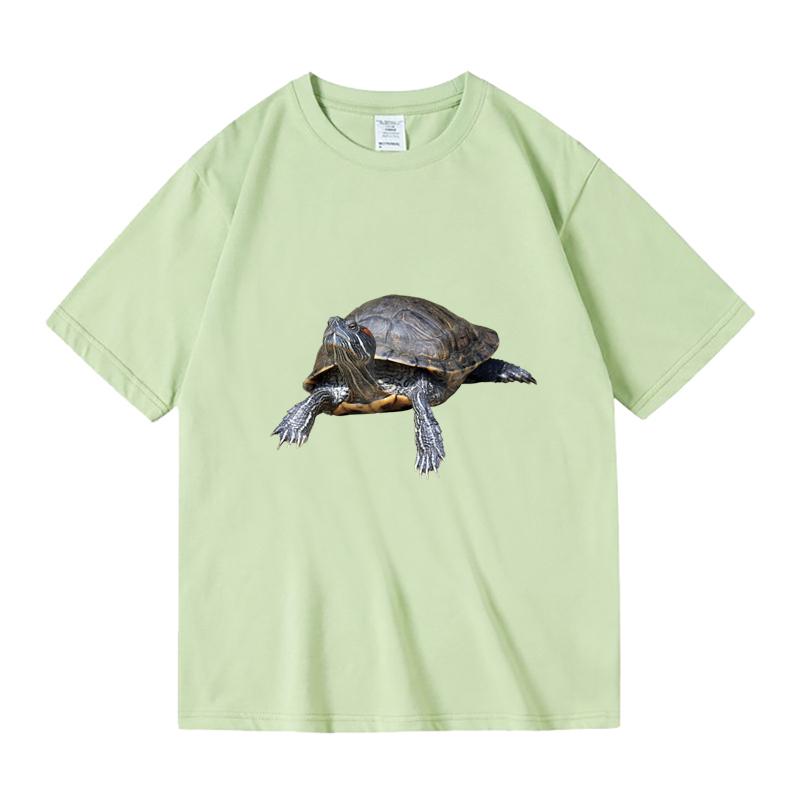 Buy 210 GSM Men's Heavy 100% Cotton T-Shirt Red Eared Slider Turtle T ...