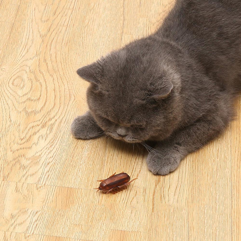 Buy Electronic Insect Cockroach Toy Electric Vibration Realistic Fake ...