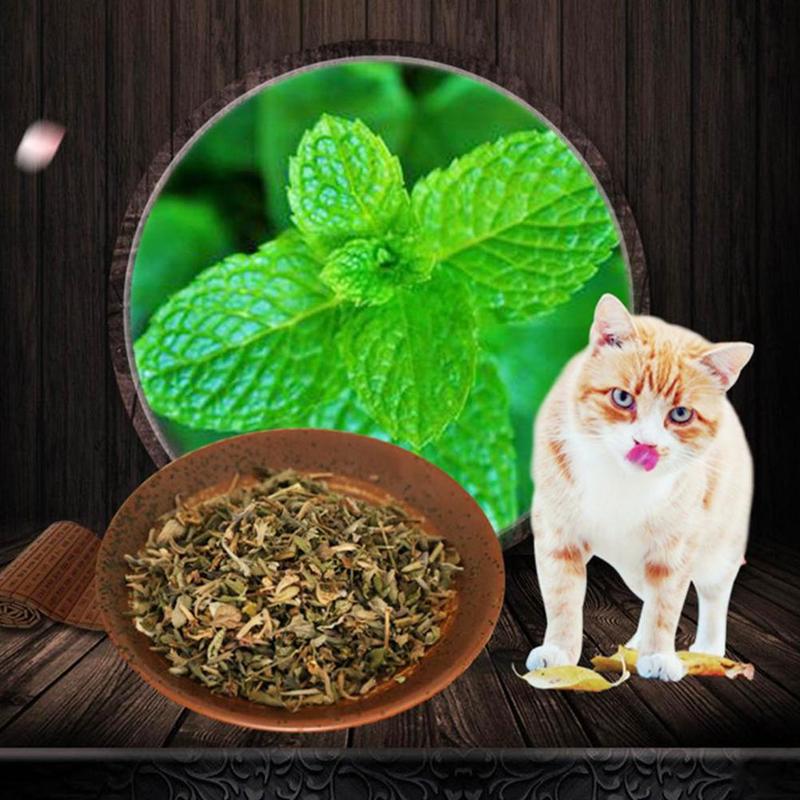 Natural Catnip Pet Cat Catnip Menthol Flavor Funny Toys Treat P8S8 ...