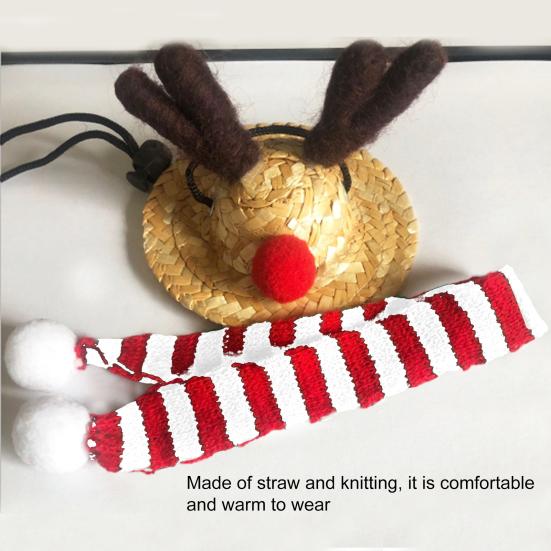 Buy baigeshi 2Pcs/Set Lizards Hats Scarf Antler Decor Dress-up ...