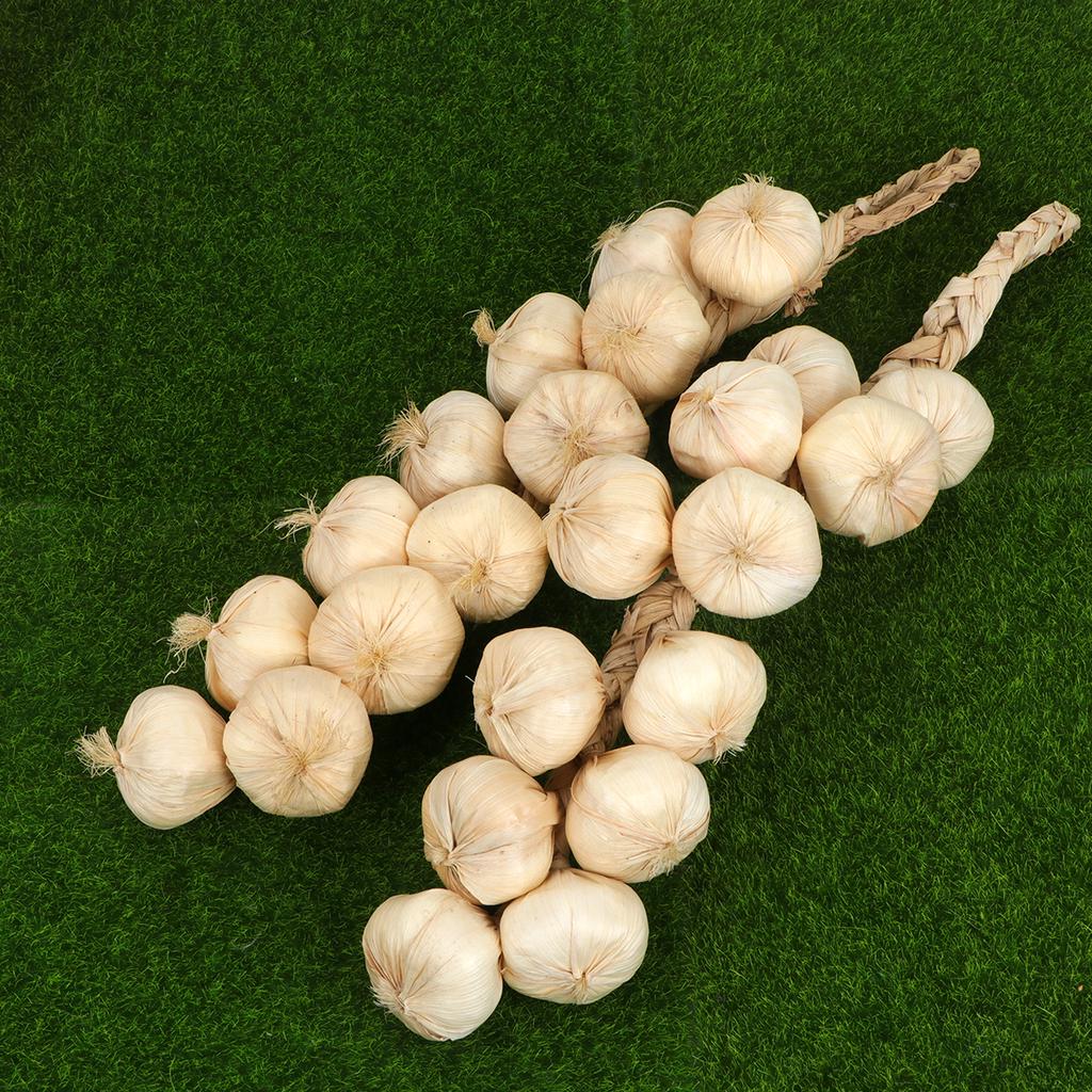 Buy 2Pcs Garlic Hanging String Vegetable String Shop Decoration Hanging ...