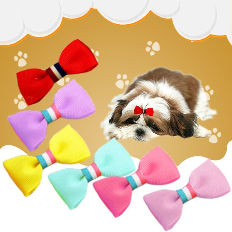 Buy Small Pet Dog Hair Clip Bows Puppy Accessory Bowknot Hairpin Lot at ...