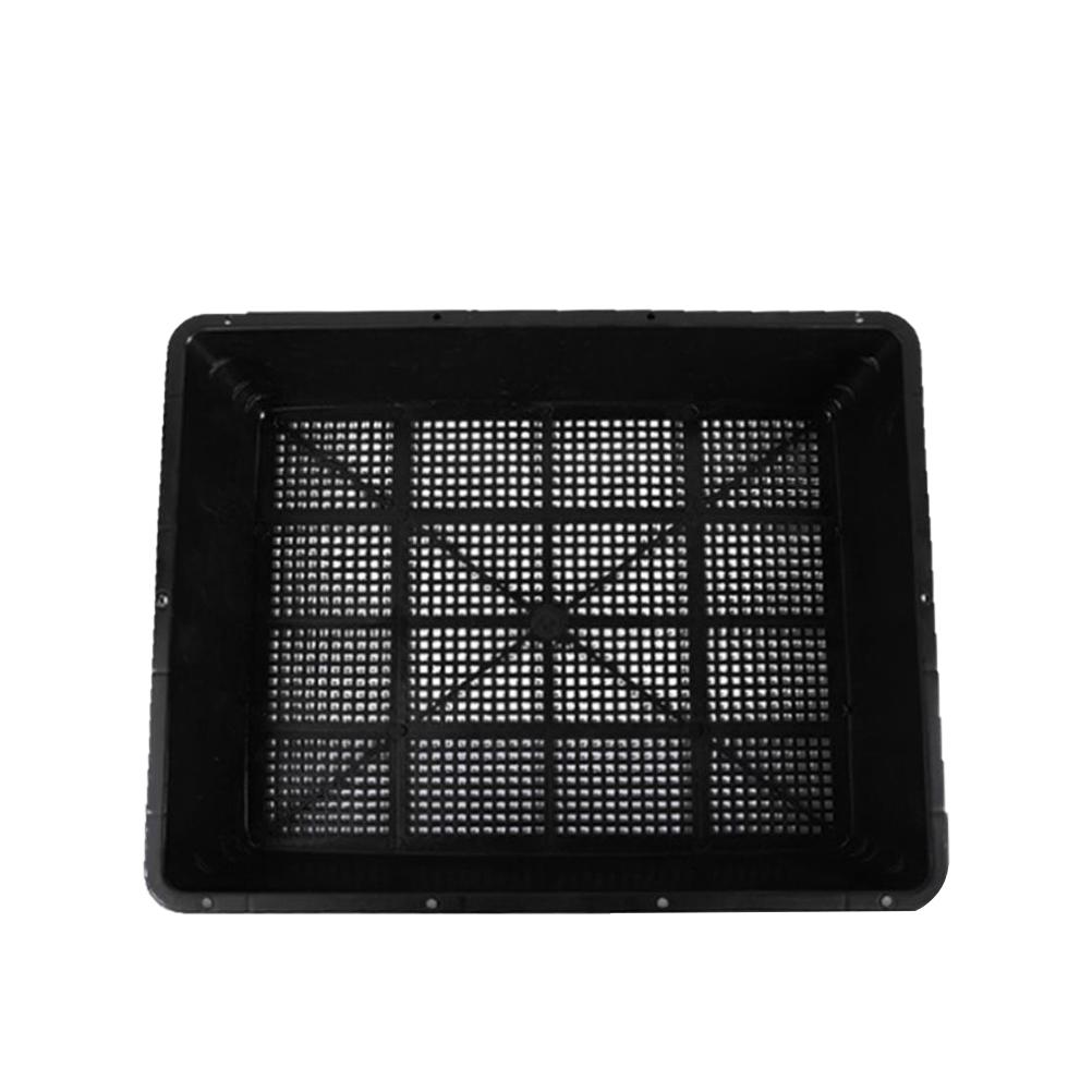 Buy 3 PCS Seedling Trays Succulent Sprouts Vegetable Flat Plate ...