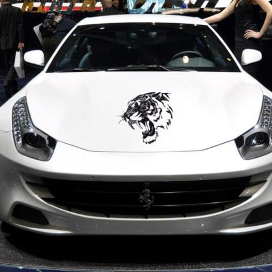 Buy Reflective And Creative Personality Cool Animal Tiger Body Car ...