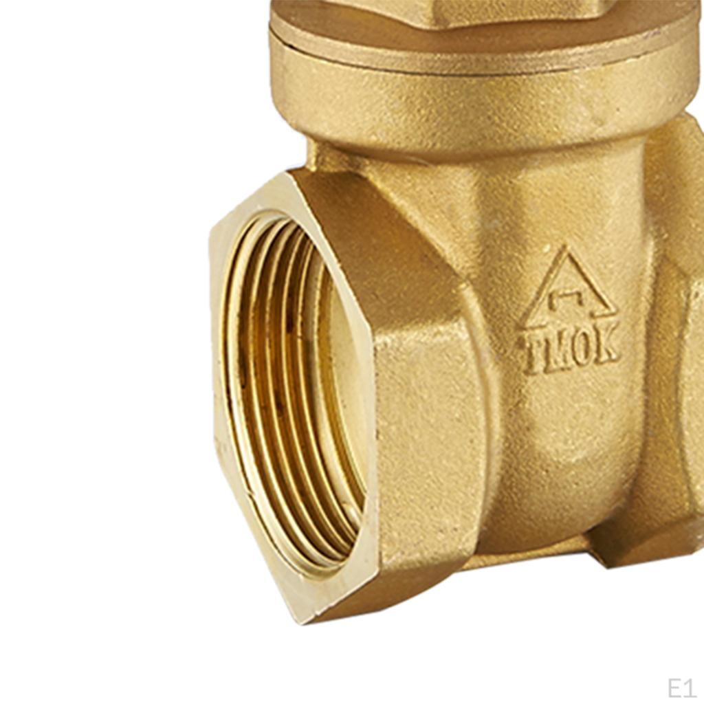 Buy Solid DN20 Brass Gate Valve Water Hose Fitting Mpa: 1.6Mpa at ...