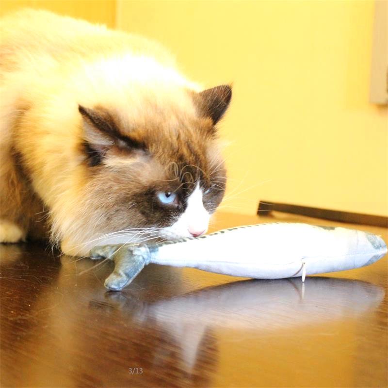 Buy Pet Soft Plush 3d Fish Shape Cat Toy Fish Catnip Toys Stuffed ...