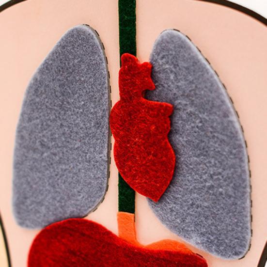 Buy Multifunctional Adhesive Funny Smooth Surface Handcraft Human Body ...