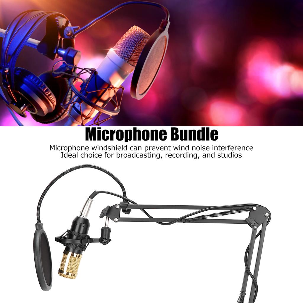 Buy Condenser Microphone Bundle Studio Mic Kit with Pops Filter Boom ...