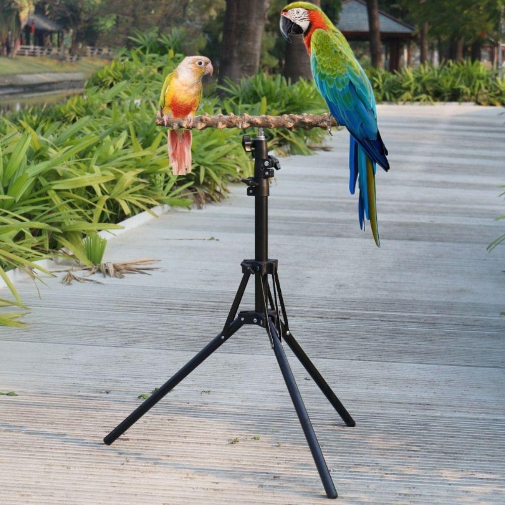 Wooden Parrot Activity Stand 15.74~61 Inch Pepper Wood Habitat Creative ...