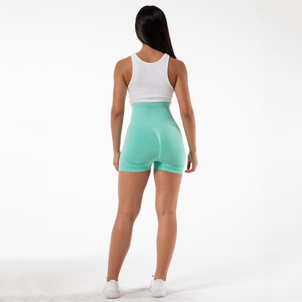 Satın alın Shascullfites Melody Women Seamless Yoga Shorts Soft Matrial ...