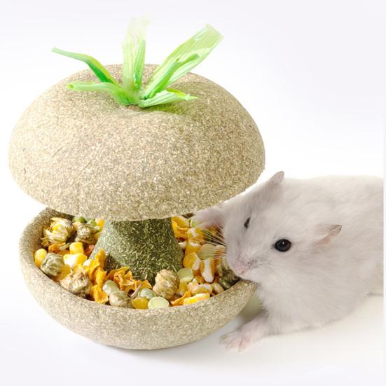 Buy Hamster Toy No Additives Teeth Grinding Handmade Eco-friendly Small ...