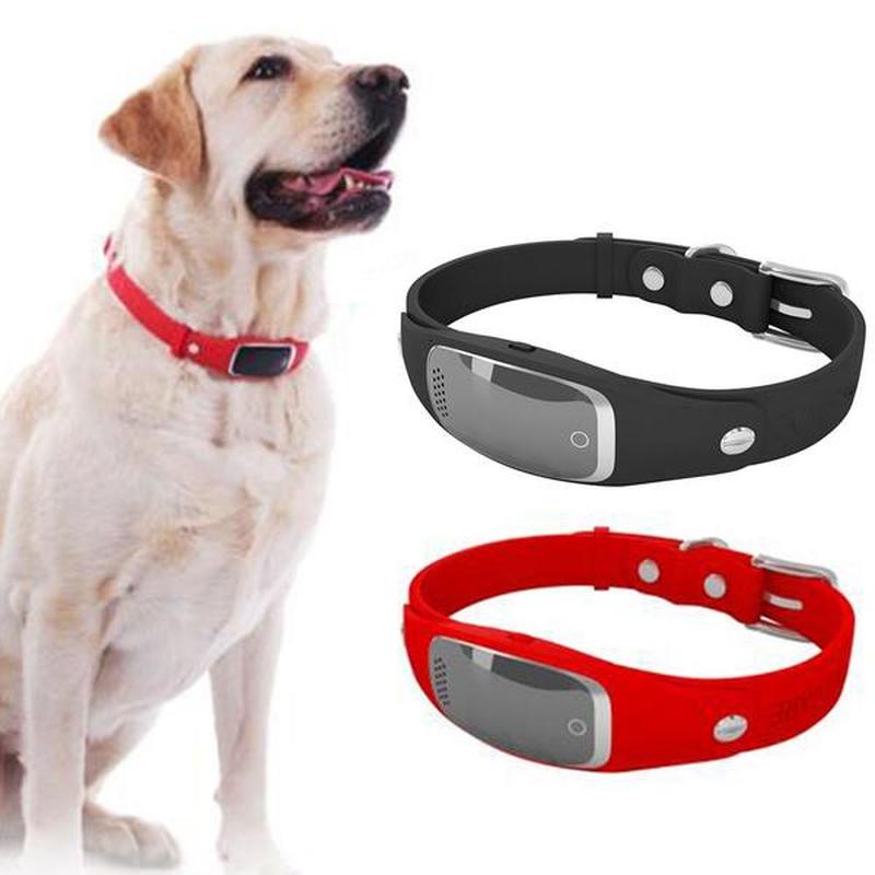 Buy Black/Red LCD Display Dog GPS Pet Electric Tracker Smart Watch with ...