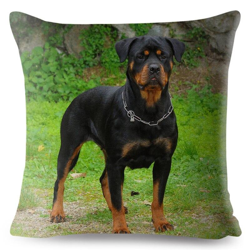 Buy Germany Loyalty Rottweiler Dog Pillow Cover 45x45cm Cushion Covers ...
