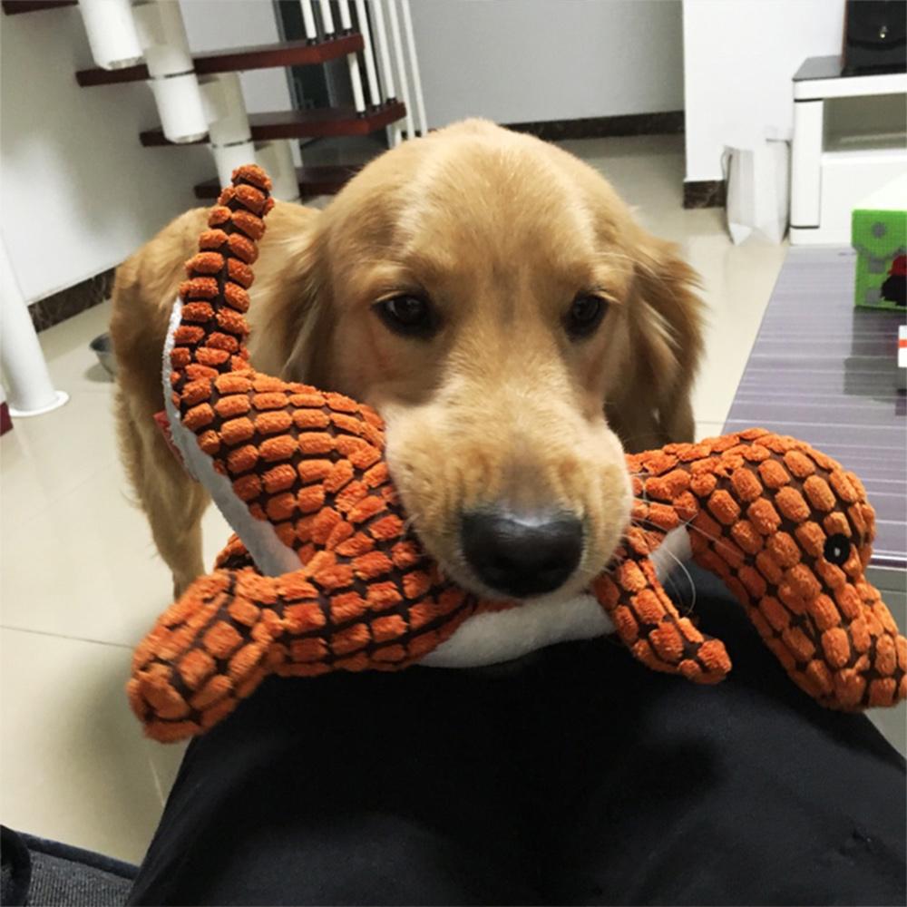 Buy Dog Cat Pet Chew Toys Dog Canvas Durability Vocalization Dolls Bite ...