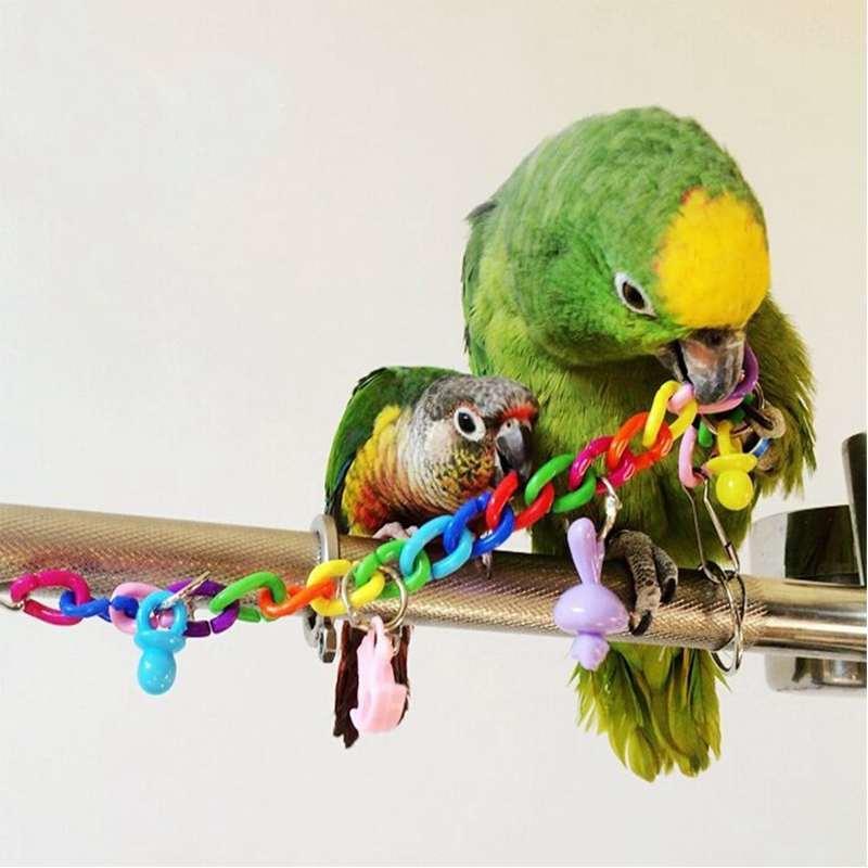 Buy Colorful Pet Bird Swing Scratcher Climb Ropes Parrot Macaw ...