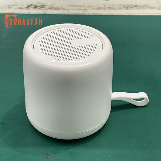 Buy Wireless Mini Subwoofer Speaker with IPX4 Life Waterproof, HiFi ...