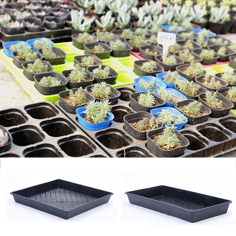Buy Starter Planting Tray Flat Bottom Rectangle Germination Flower Pots ...