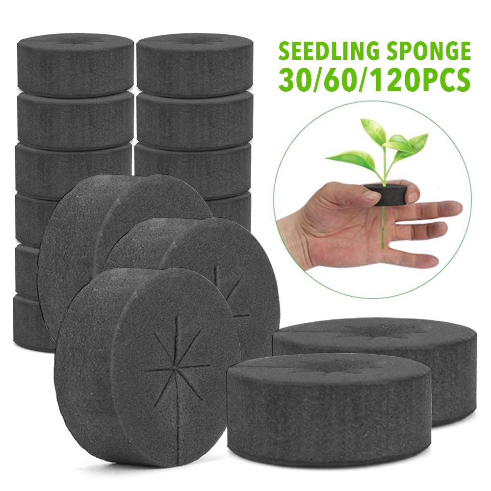 Buy Garden Clone Collars Neoprene Inserts Sponge Block for 2 Inch Net ...