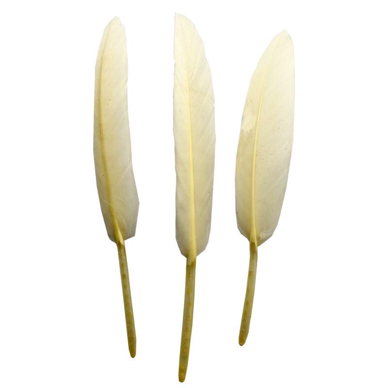 Buy Natural Goose Feathers 50pcs/set Wedding Birthday Party Gorgeous ...