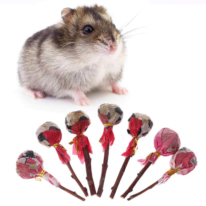 Buy Pet Hamster Grinding Teeth Stick Rabbit Chinchilla Guniea Pig ...