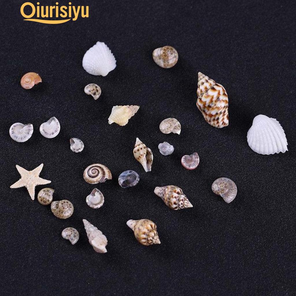 Buy 1 Box Ocean Style Shell Conch Starfish 3D Nail Art Decor Manicure ...