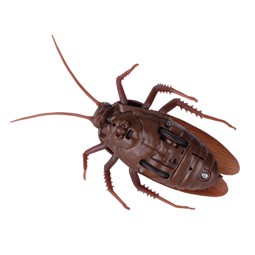 Buy Children Adult Remote Control Toys Cockroach Prank Insects Joke ...