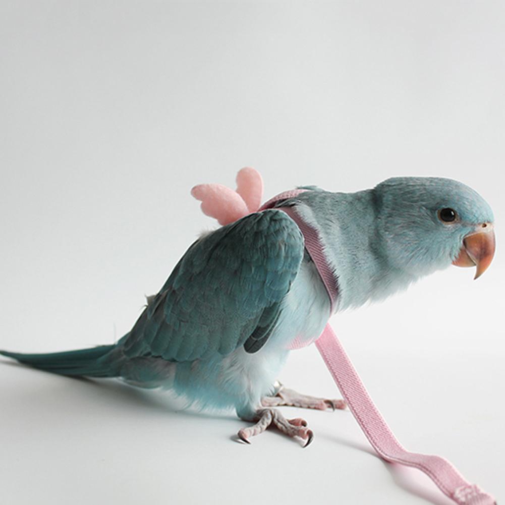 Ultra Light Parrot Flying Sling Leash Outdoor Training Bird Traction ...