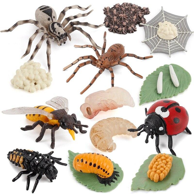 Buy 4PCS Insect Figurines Life Cycle Of Stag Beetle,Honey Bee,Mantis ...