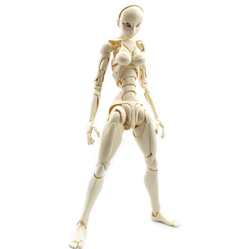Special Full Action Body Type-3 SFBT-3 29cm Jointed Figure Body Module ...