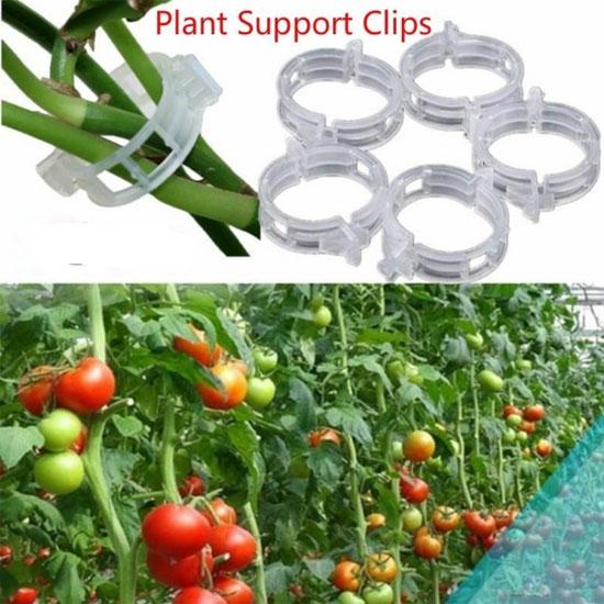Buy Durable Clear 30/50/100Pcs Plant Support Clips Vine Garden ...