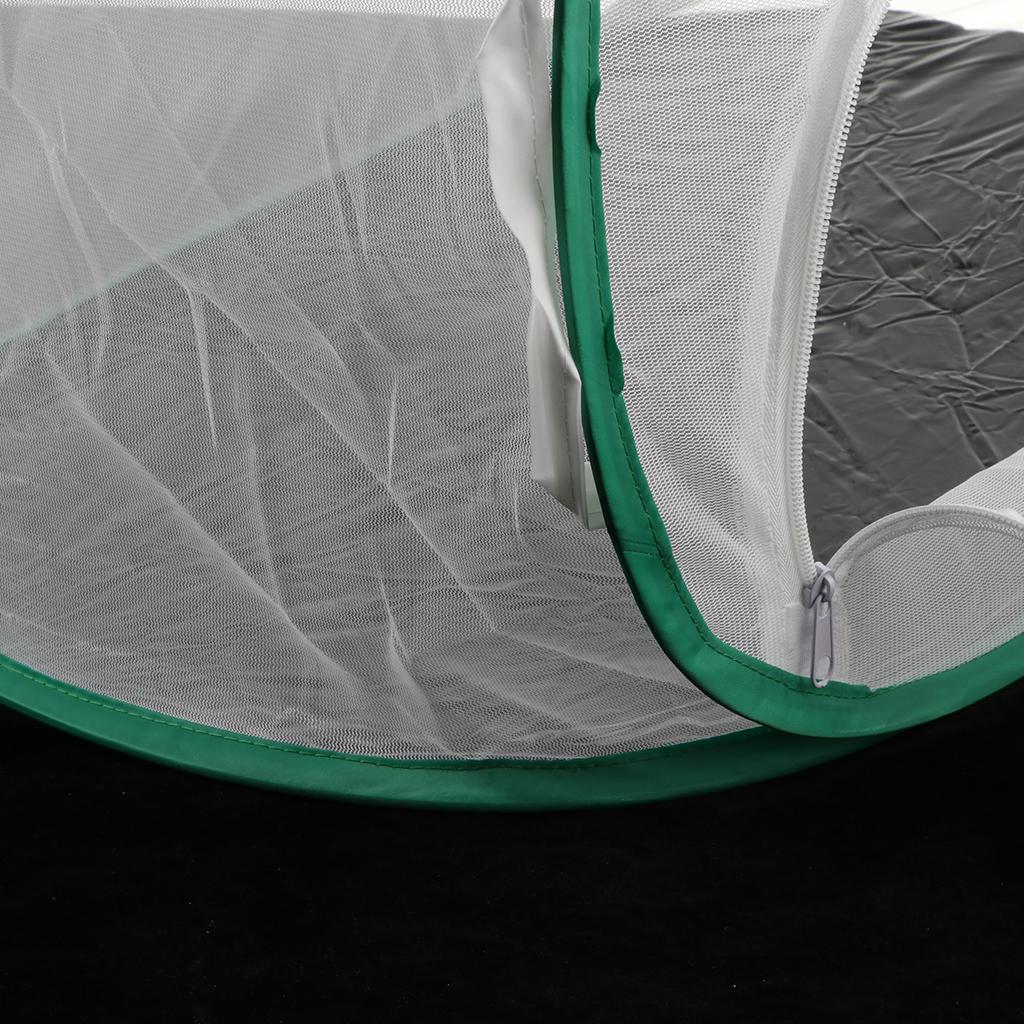 Buy Large Pop Up Butterfly Habitat Terrarium Insect Cage Mesh Science ...