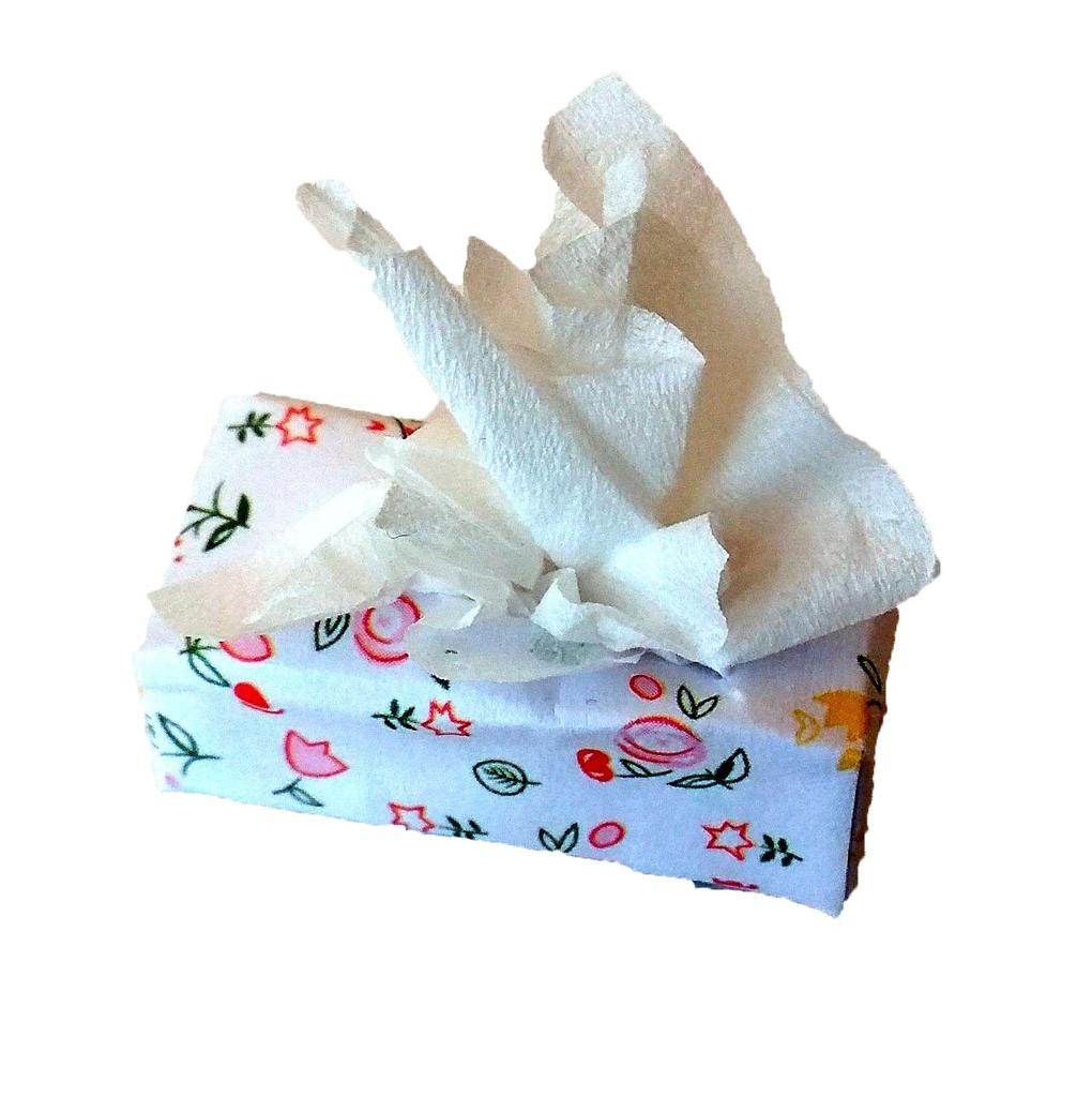 Buy Miniature Tissue Boxes, Paper Dollhouse Bathroom Toilet Accessories ...