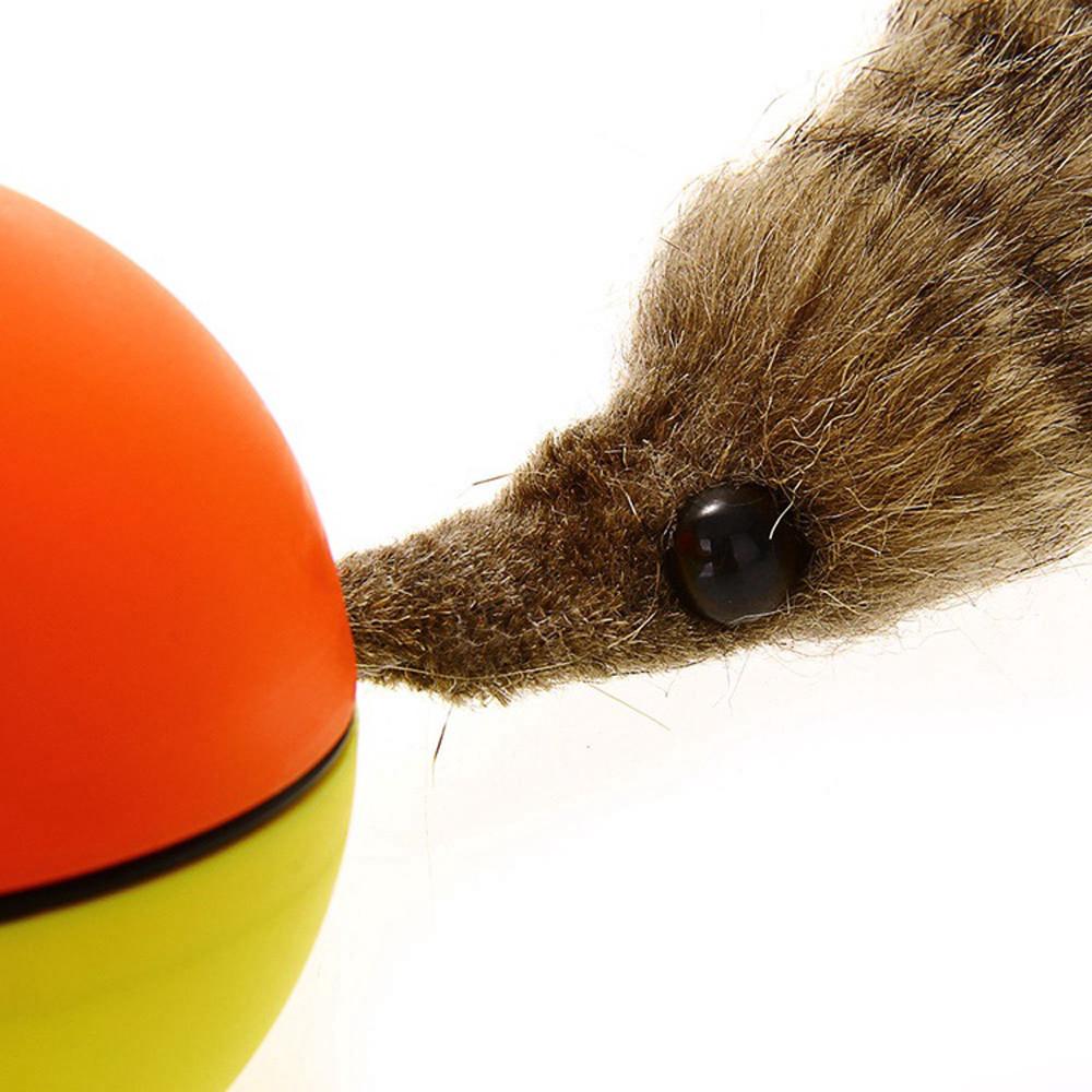 Pet Dog Cat Weasel Funny Motorized Rolling Ball Appears Jump Moving ...